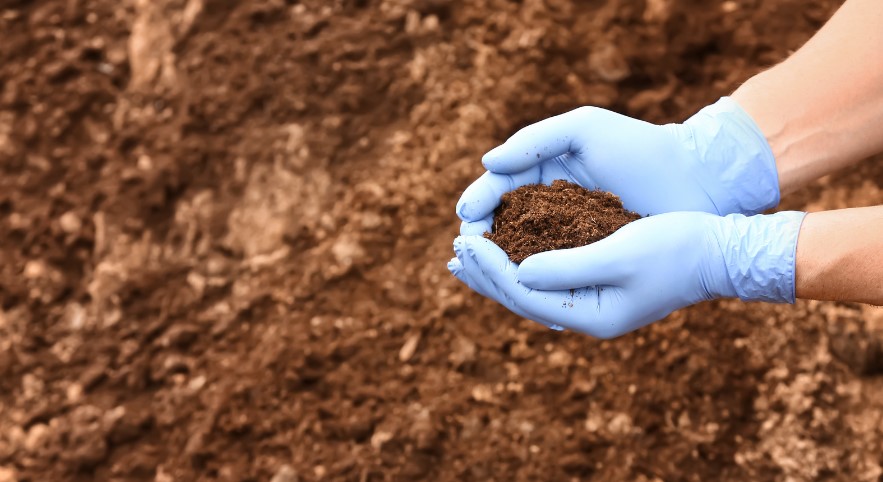 How to Remove Contaminated Soil? - A Step-by-Step Guide - Garden ...