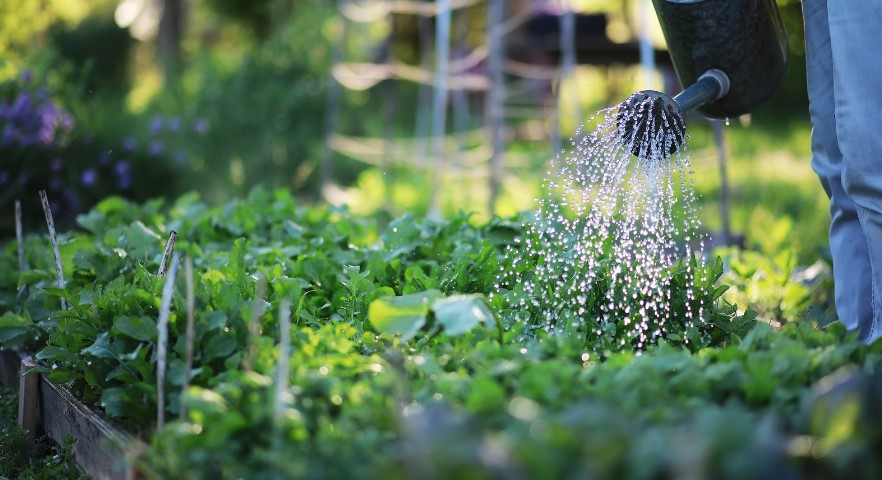 How to Maintain a Garden? - A Comprehensive Guide - Garden Rubbish ...